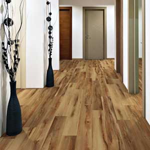 COREtec Pro Plus Vinyl Plank Flooring | COREtec Pro Plus HD / Pro Plus ...
